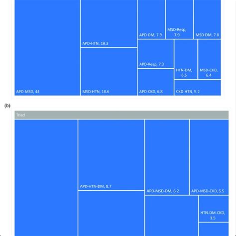 A Tree Map Depicting Burden Of Morbidity Combinations Among Common Download Scientific