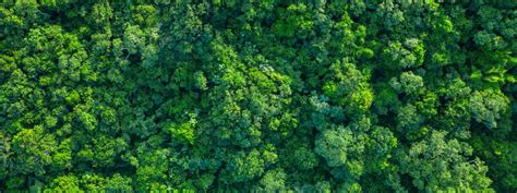 IBM Brings New Capabilities To Its Sustainability Software IoT Magazine