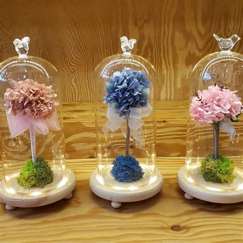 수국유리돔~ 프리져브드 플라워 입니다 ㆍ 수국유리돔 💕 ㆍ 시들지 않는꽃 ~~ ㆍ 프리져브드 입니다♡ ㆍ 성모상유리돔로즈유리돔 수국토피어리 유리돔 로 인기 💕 ㆍ