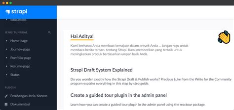 Strapi Setup Schema Plugins Dan Deploy Blog Adityacprtm