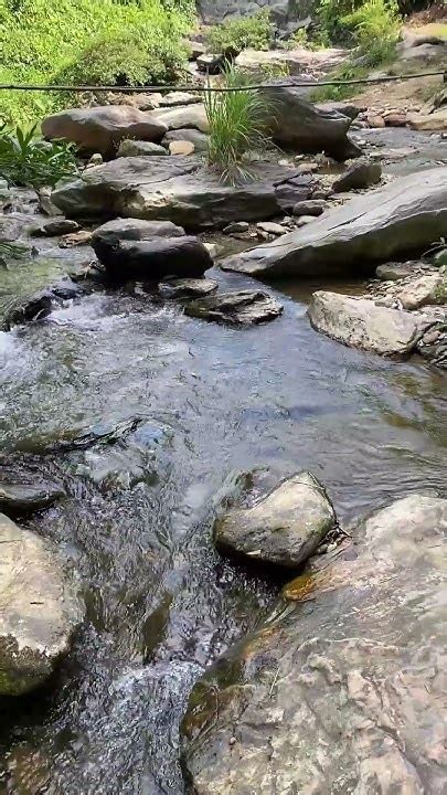 내 마음을 녹이는 뉴에이지 연주곡🌲하루10분 만병을 치료 해주는 힐링 명상 기치료 음악 및 영상 아침명상음악 아침음악 힐링음악 명상음악 스트레스해소음악