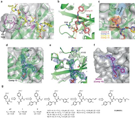 Rational Crystallography Guided Design Of Small Molecule Ligands