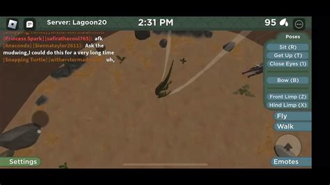 Mudwings Are Out Youtube