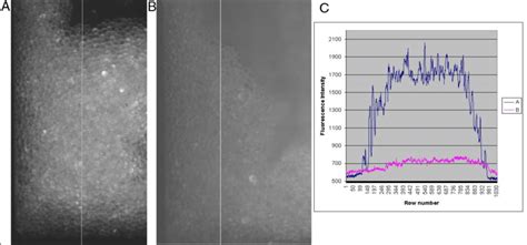 Dnadna Hybridisation Fidelity Analyses On Beads Placed In Download Scientific Diagram