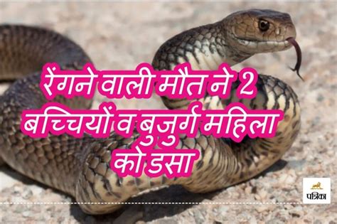 Snake Bite बारिश शुरु होते ही रेंगने लगी मौत 2 मासूम बच्चियों समेत 3