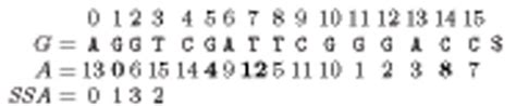 An Example Dna Sequence G Suffix Array Of G And Sparse Suffix Array