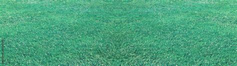 Green Grass Background Faded Green Texture With Empty Copy Space