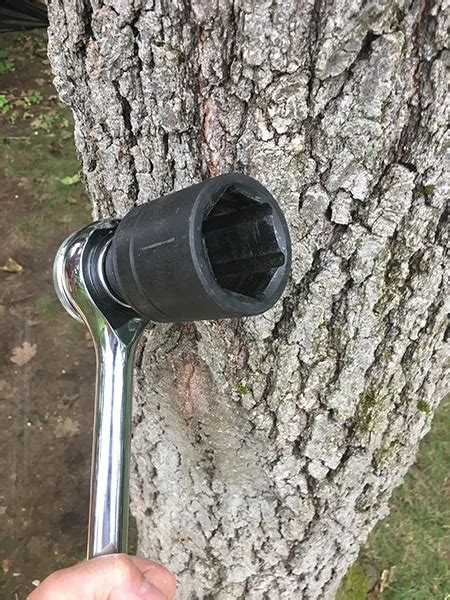 How To Attach A Treehouse To A Tree A Complete Guide