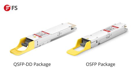 Unveiling 800g Transceivers Qsfp Dd Vs Osfp Packages
