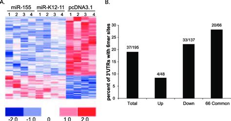 Gene Expression Profiling Reveals A Common Set Of Target Genes A