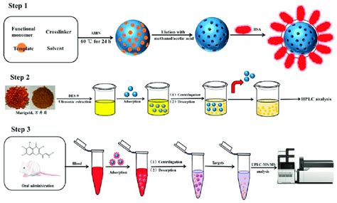 schematic diagram of the synthesis and application of mips and ramips