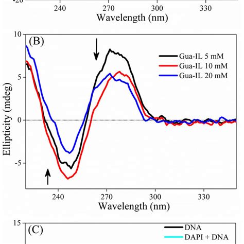 DNA Compaction Scheme A Plausible DNA Compaction Mechanism Download