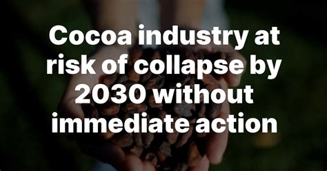 Cocoa Industry At Risk Of Collapse By 2030 Without Immediate Action