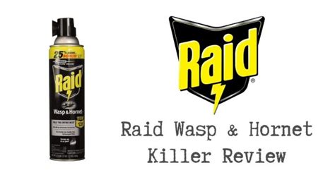 Raid Wasp Hornet Killer Review Pest Survival Guide
