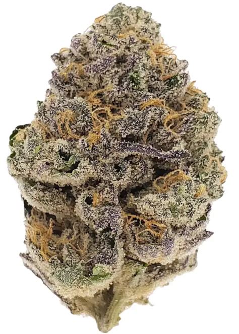 Point Break Cannabis Strain Information GrowDiaries