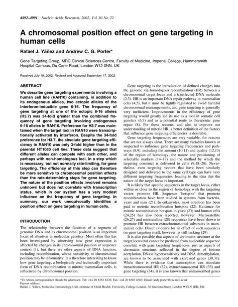 Pdf A Chromosomal Position Effect On Gene Targeting In Human Cells