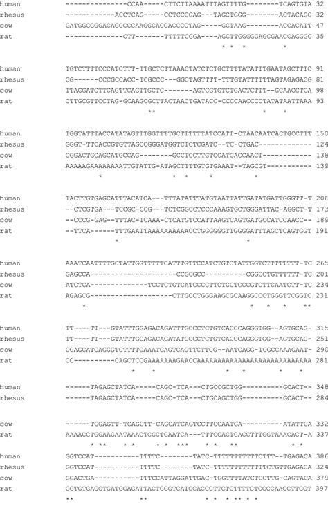 Clustal W 21 Multiple Sequence Alignment Of Akr7a3 Related Promoters