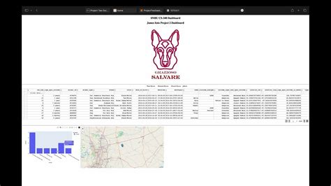 Snhu Cs 340 Project Two Dashboard Youtube