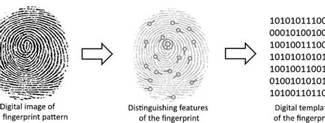 How Fingerprint Scanners Scan And Process Fingerprints