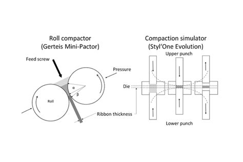 Hybrid Modeling Of Roll Compaction Processes With The Stylone Evolution Granule Size