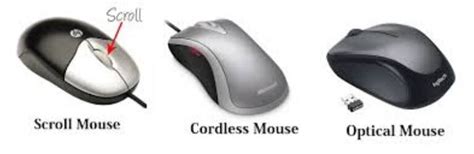 Computer Mouse Evolution From Wood To Wireless FoundersOF
