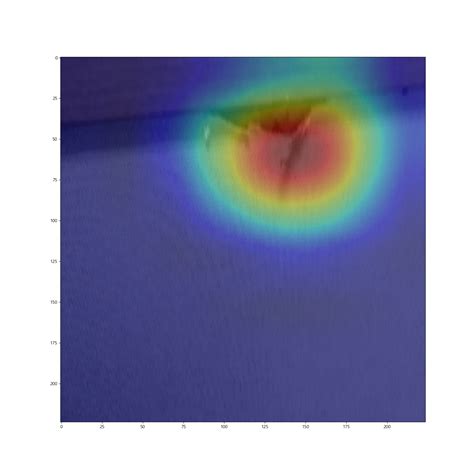 Pytorch Lightning에서 Cam 시각화 구현