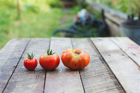 Size Effect Anomaly Quantdare