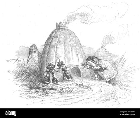 Sc Nes De La Vie Priv E Et Publique Des Animaux Tome Stock Photo Alamy