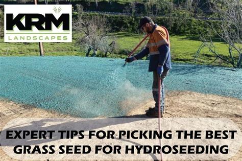 Expert Tips For Picking The Best Grass Seed For Hydroseeding Krm