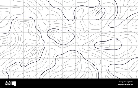 Topographic Map Lines Topology Outline Contour Vector Wavy Abstract