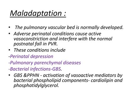 Persistent Pulmonary Hypertension Of Newborn Pphn Pptx