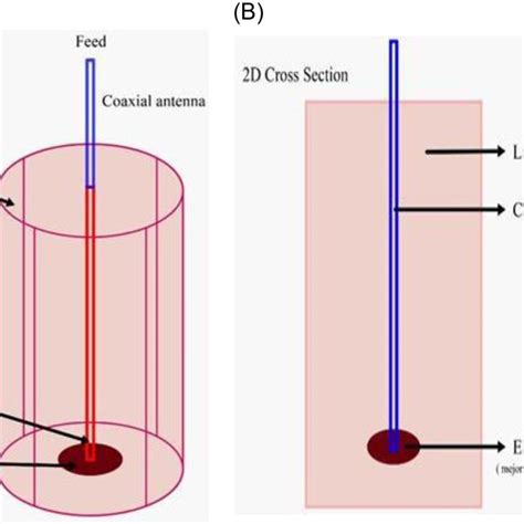 Schematic Diagram Of A Three‐dimensional And B Two‐dimensional Mode Download Scientific