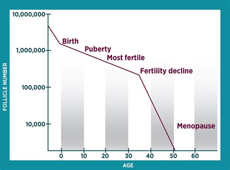 Charts And Tables — Terry Marks Design