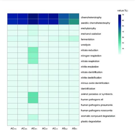 Heatmap Matrix On The Top 20 Functional Groups With The Highest Download Scientific Diagram