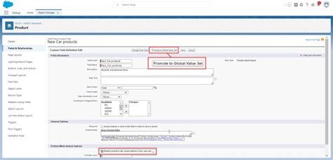 How To Promote Existing Multi Select Picklist Field Value As Global Value Set On Salesforce