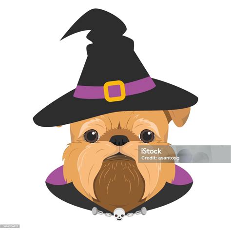 할로윈 인사말 카드입니다 브뤼셀 그리폰 개는 검은 모자 보라색과 검은색 망토 해골이 달린 작은 사슬 목걸이를 가진 마녀로 옷을 입었습니다 가축에 대한 스톡 벡터 아트 및
