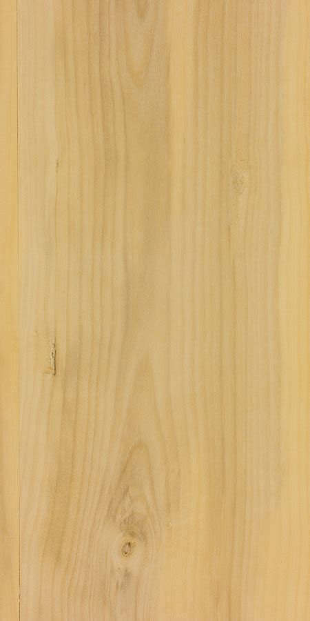 Boxwood Wood Wintergreen Boxwood Scb 20 76