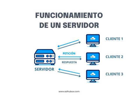 Adhubox Insights En Desarrollo Web