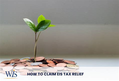 How To Claim Eis Tax Relief What To Do