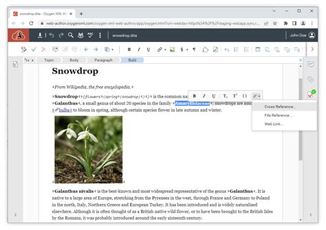What S New In Oxygen XML Web Author 25 0 0