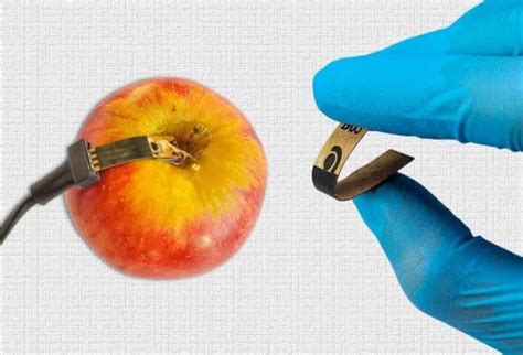 Бумажные датчики упрощающие тестирование овощей и фруктов на пестициды