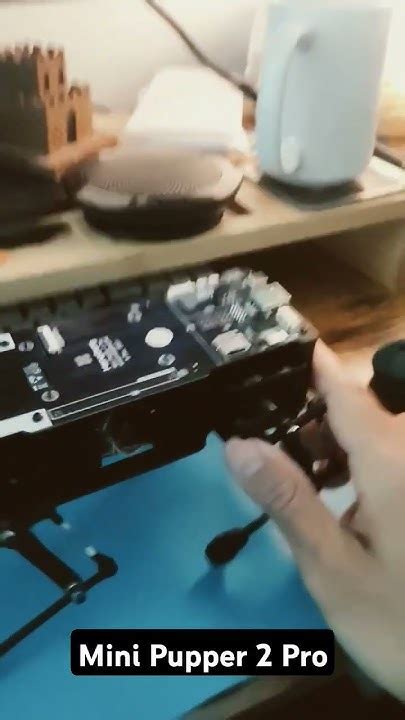 Mini Pupper 2 Pro Frame And Servos Youtube