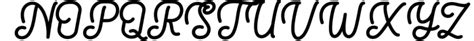 brandmaster sanscript duo font 1 font script elegant what font is