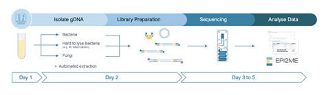 Nanopore Only Microbial Isolate Sequencing Solution No Miss Rapid