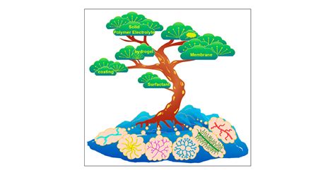 Branched Polymers Synthesis And Application Macromolecules