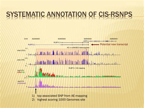 Ppt Cis Regulatory Snps Altering Transcription Detected By Allelic Expression Mapping