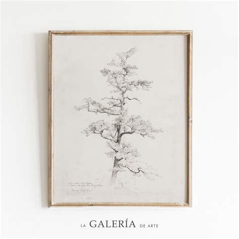 Minimalist Antique Tree Sketch Art Neutral Landscape Drawing Wall Art Vintage Sketch Etsy