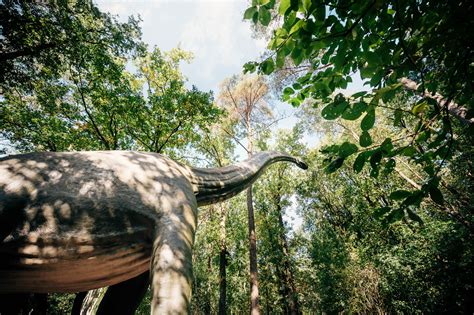 Alles Over De Brachiosaurus Dierenpark Amersfoort