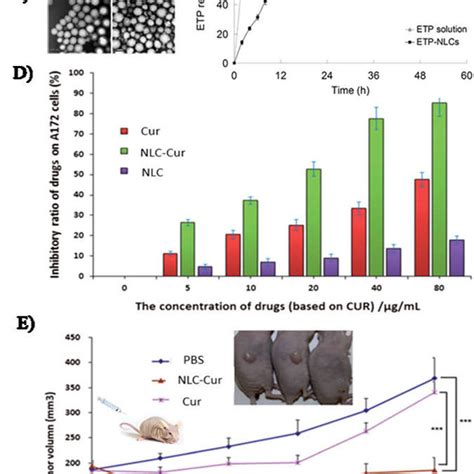 Preparation Of Nlcs By Solvent Emulsificationevaporation Technique Download Scientific Diagram