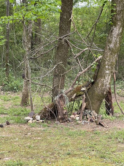 Found Some Weird Structures On A Walk Anyone Know What They Are R Weird